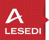 Lesedi.png – Small Biz Assist